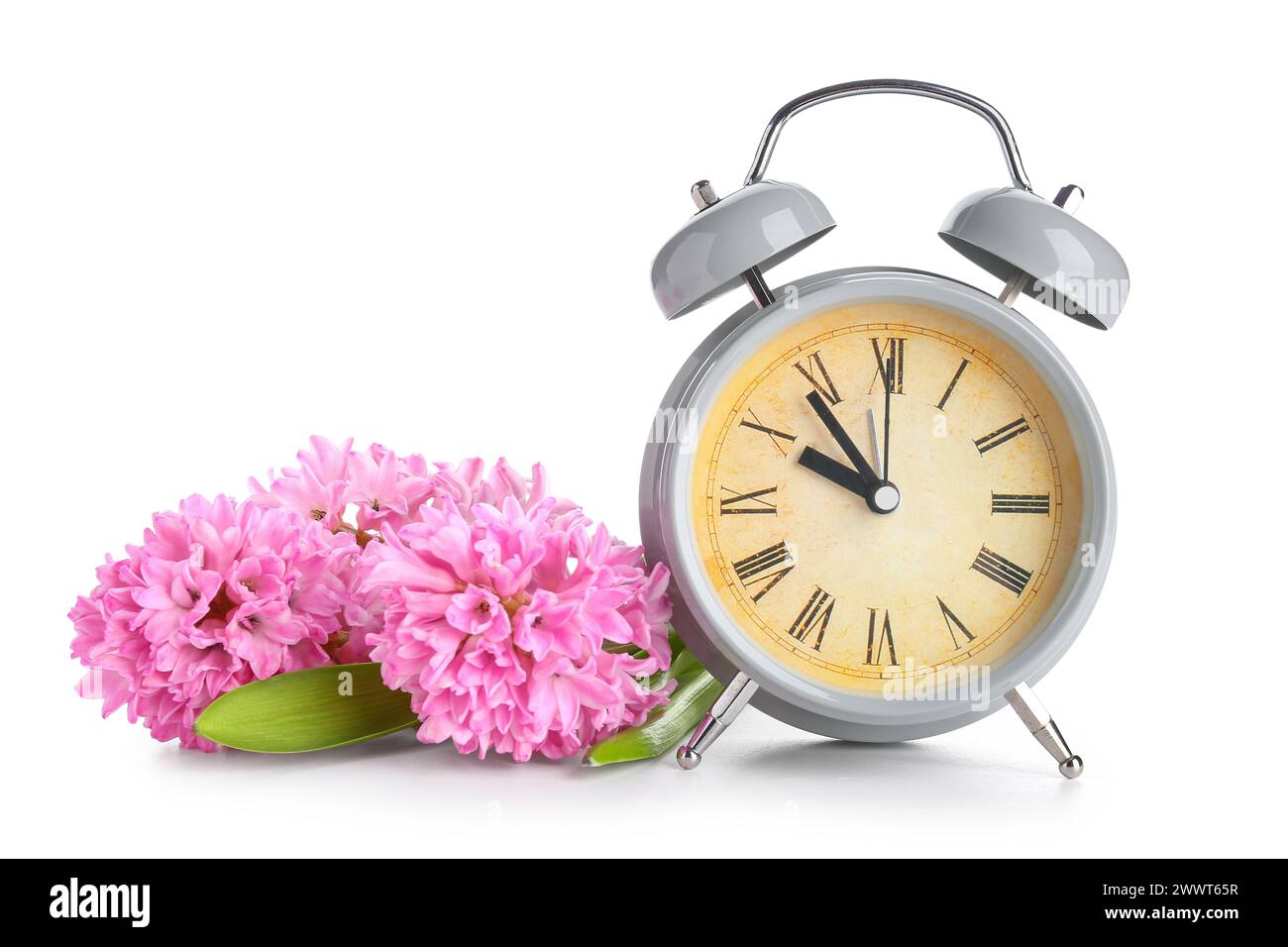 Alarm clock and hyacinth flowers on white background Stock Photo - Alamy