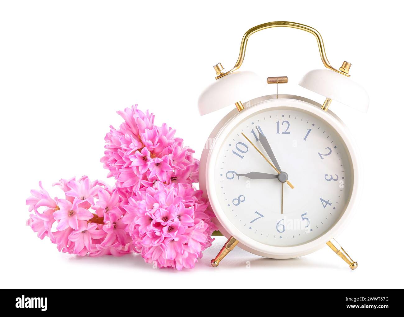 Alarm clock and hyacinth flowers on white background Stock Photo - Alamy
