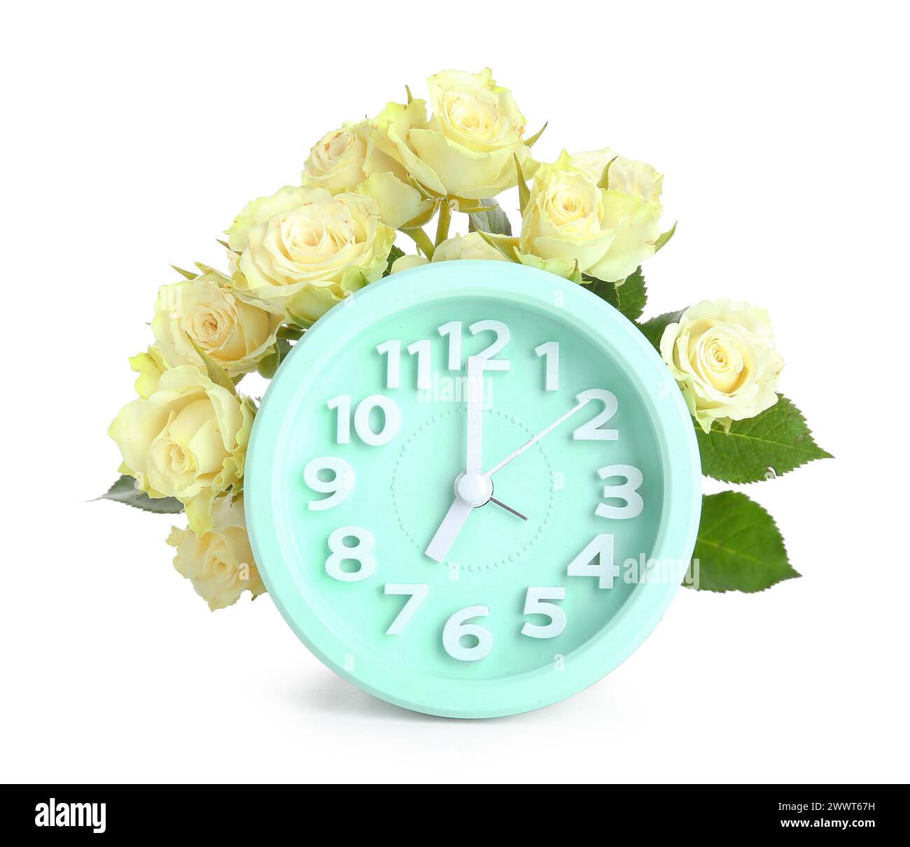 Alarm clock and rose flowers on white background Stock Photo - Alamy