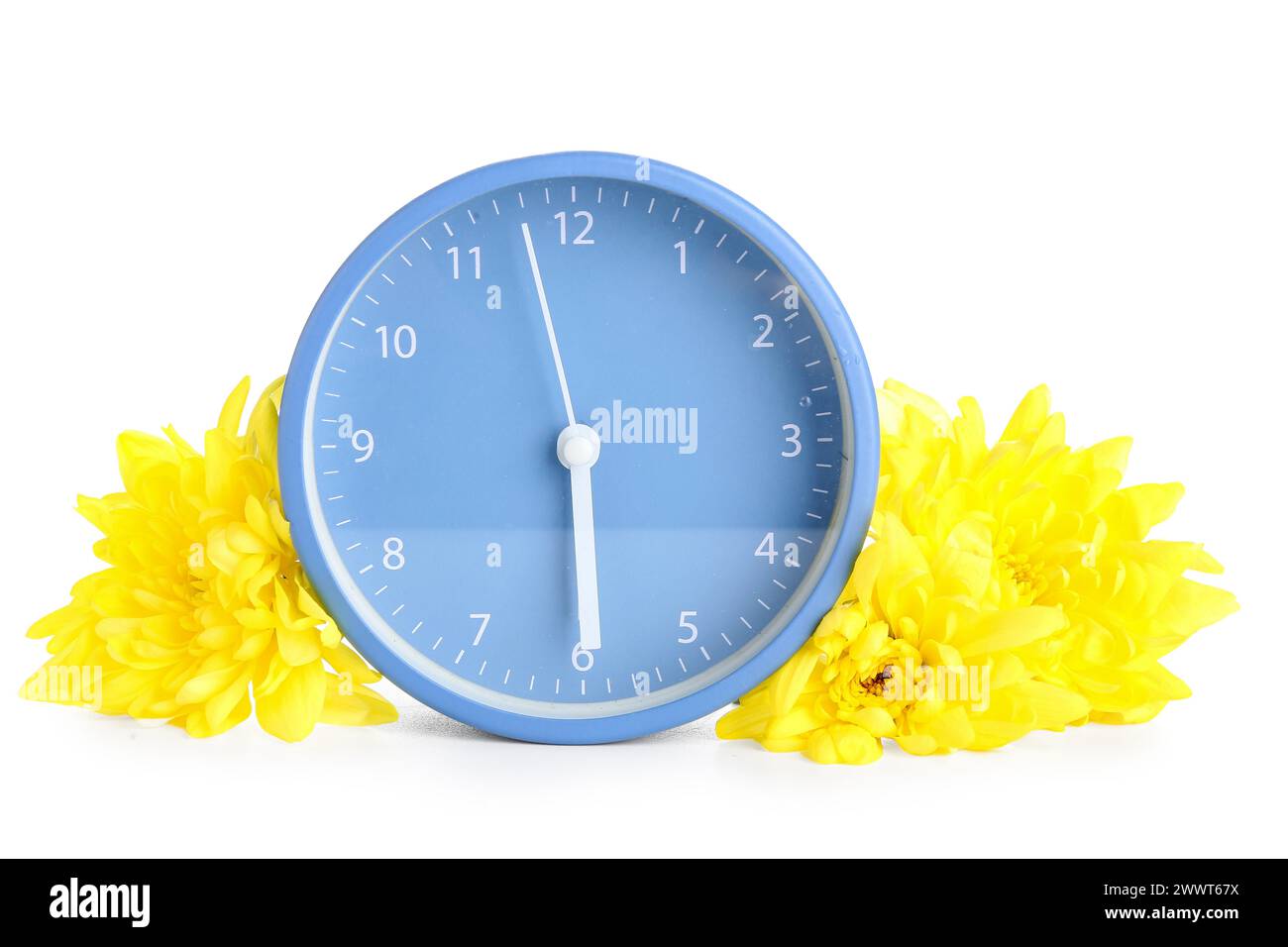 Flowers coming Cut Out Stock Images & Pictures - Alamy