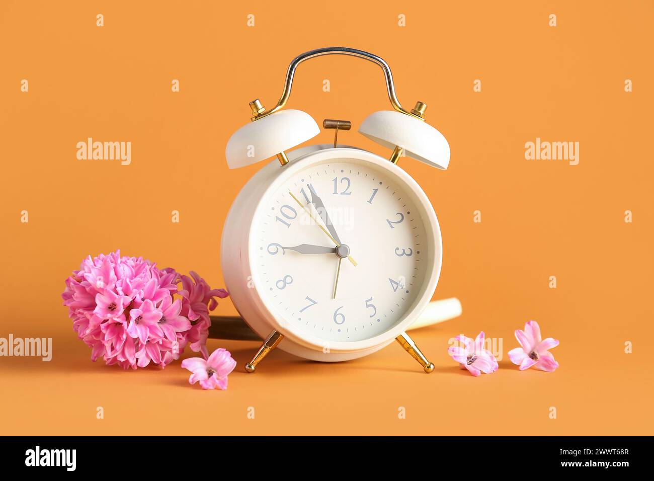 Alarm clock with hyacinth flowers on orange background Stock Photo - Alamy