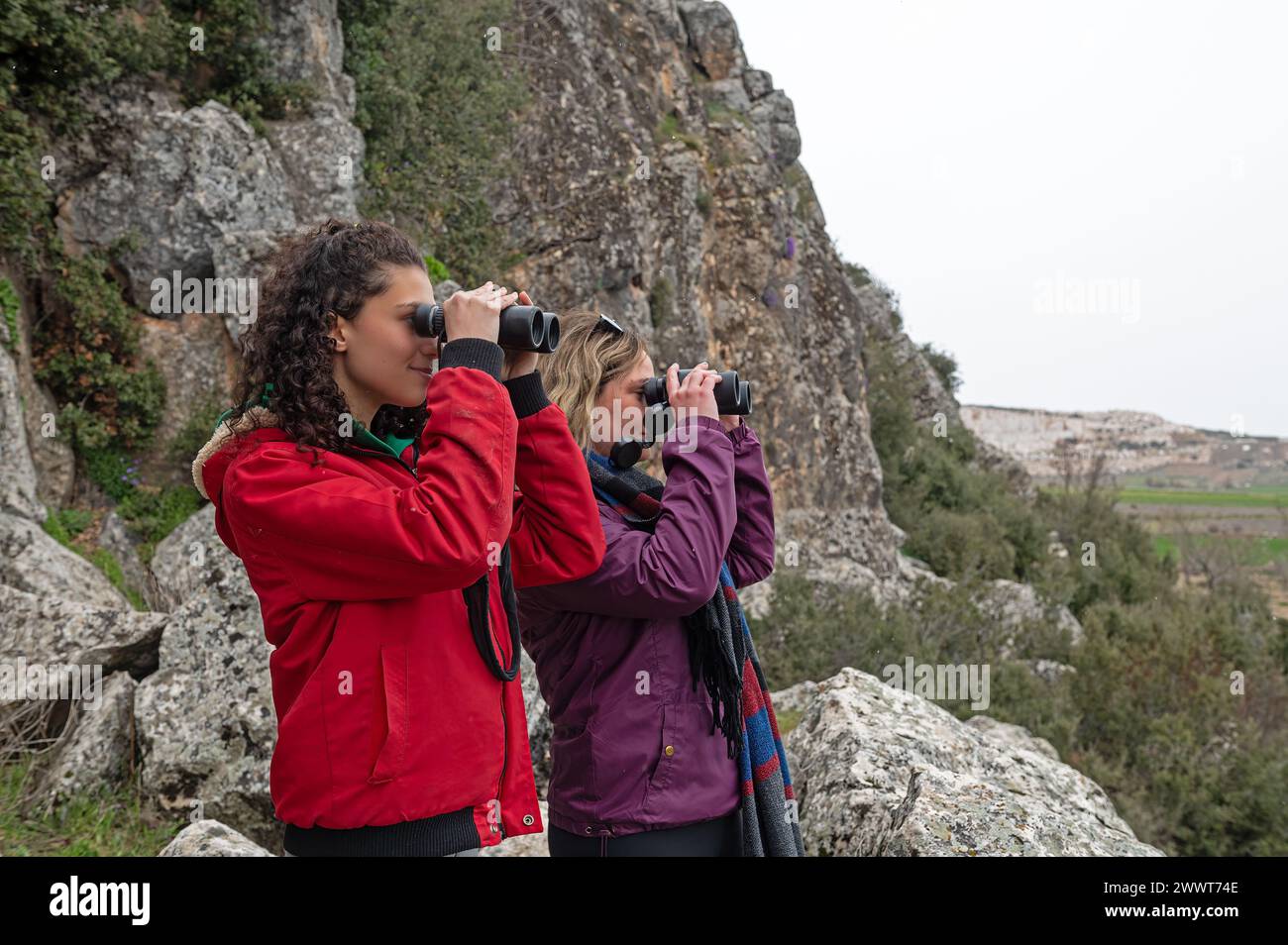Young girls observing in nature with binoculars in their hands Stock ...