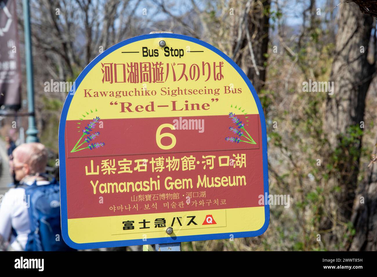 Japan, Kawaguchiko sightseeing bus, red line, bus stop at Yamanashi Gem ...