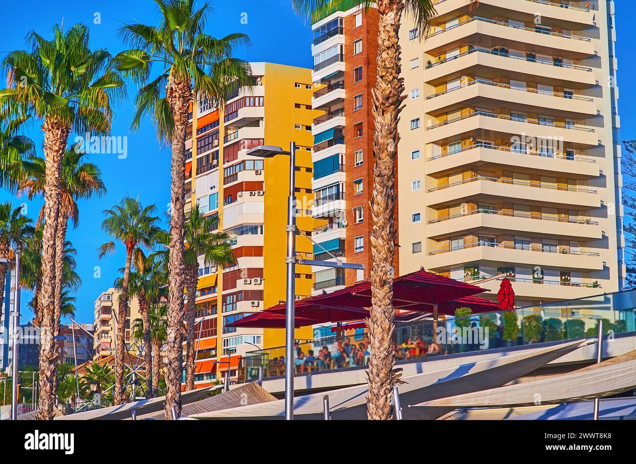 The line of tall palms, outdoor dinings and modern living high-rises ...