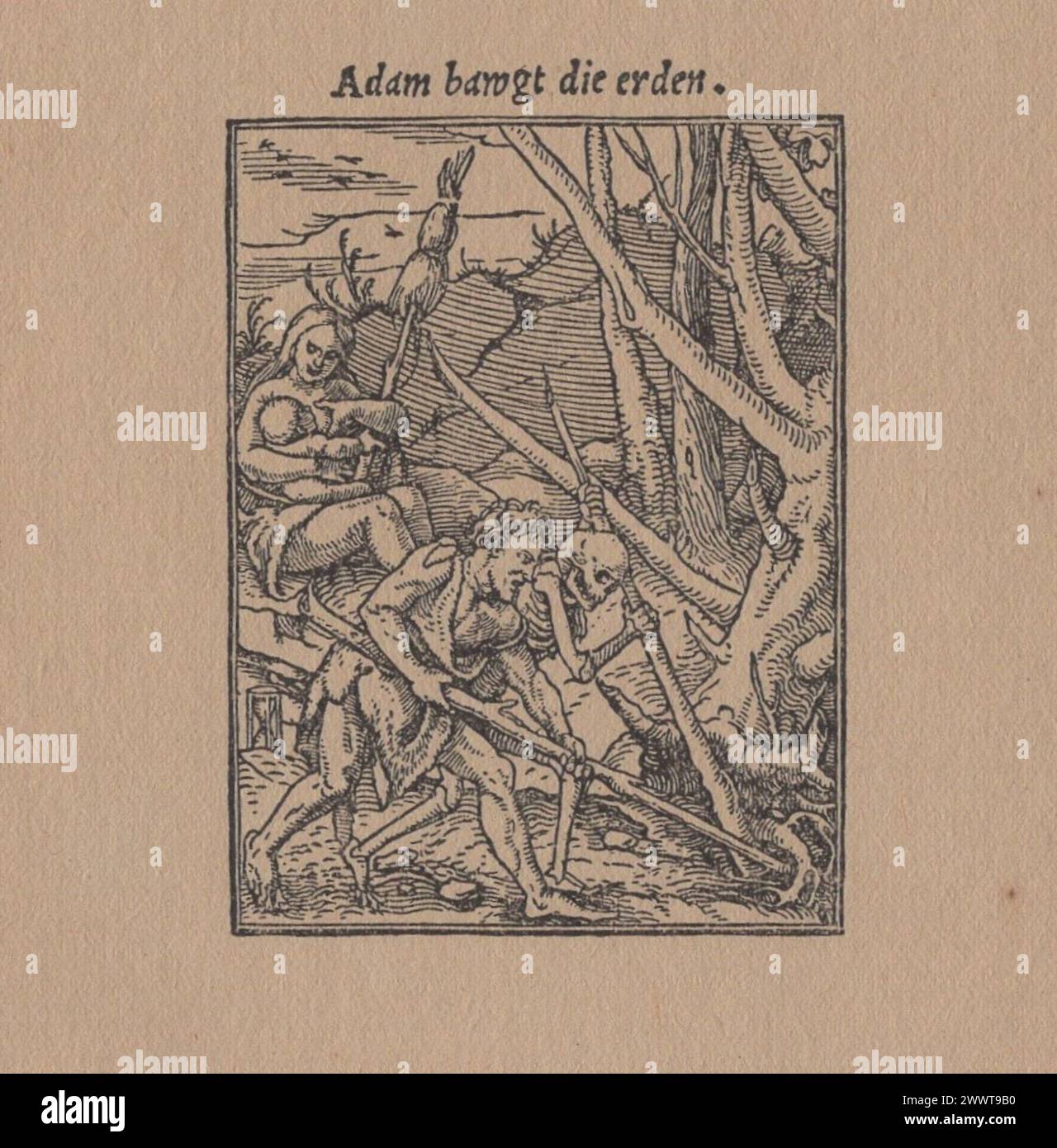 Adam tills the soil hi-res stock photography and images - Alamy