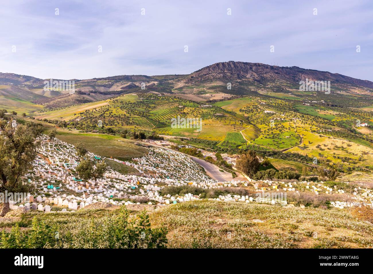Fez, Morocco - March 17, 2024: Green Hill and muslim tombs viewed from ...
