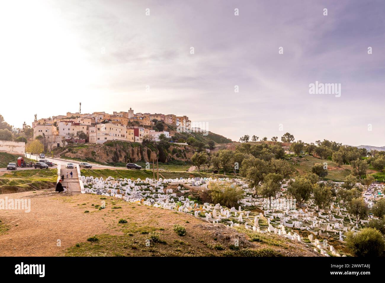 Fez, Morocco - March 17, 2024: Green Hill and muslim tombs viewed from ...
