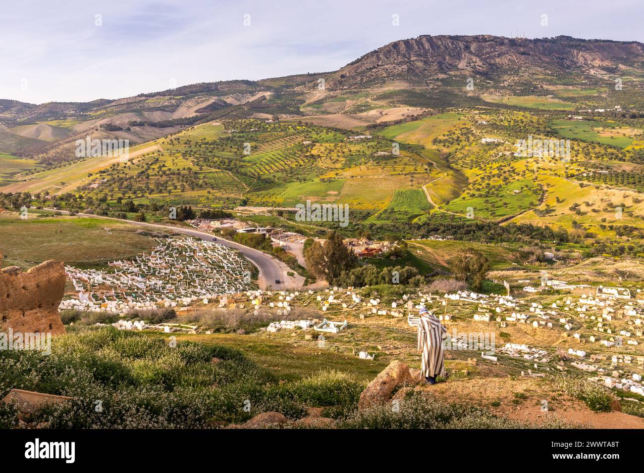 Fez, Morocco - March 17, 2024: Green Hill and muslim tombs viewed from ...