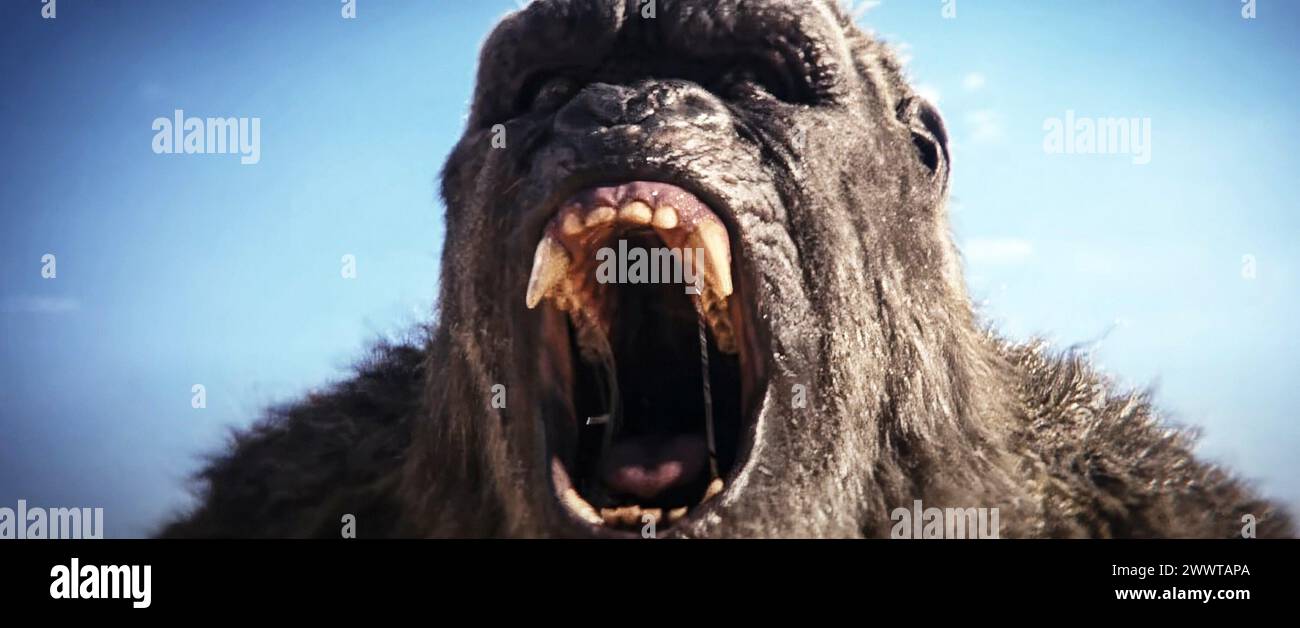 GODZILLA X KONG: THE NEW EMPIRE, Kong, 2024. © Warner Bros. / Courtesy ...