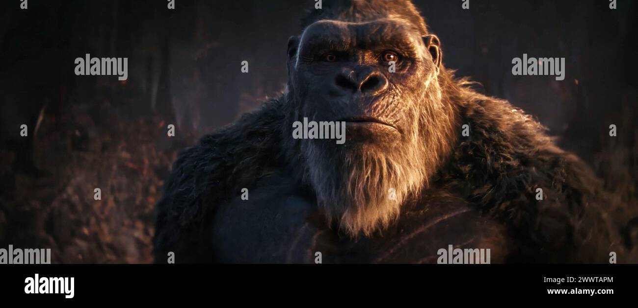 GODZILLA X KONG: THE NEW EMPIRE, Kong, 2024. © Warner Bros. / Courtesy ...