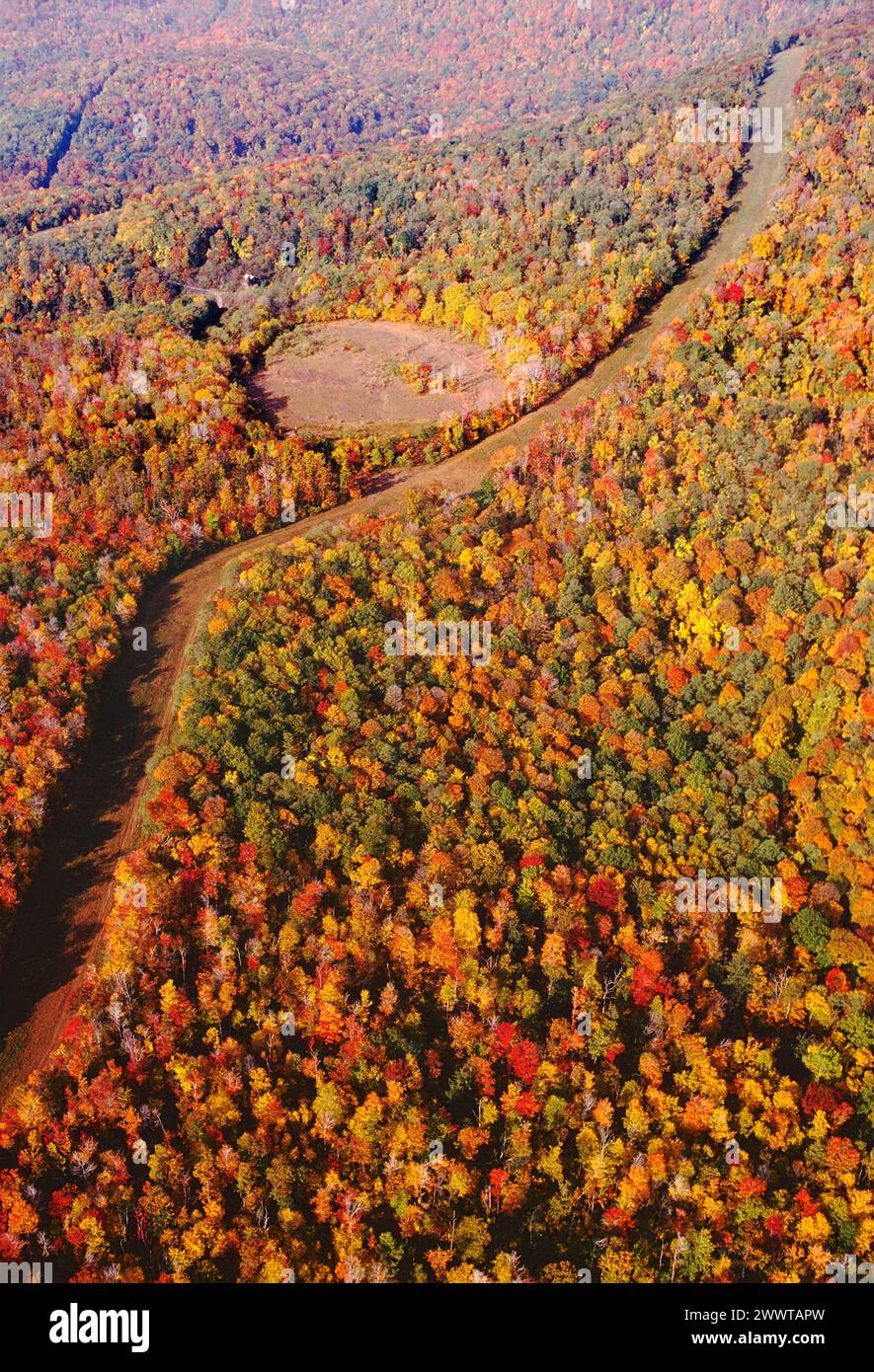 Aerial autumn view of power lines cutting swath through central ...