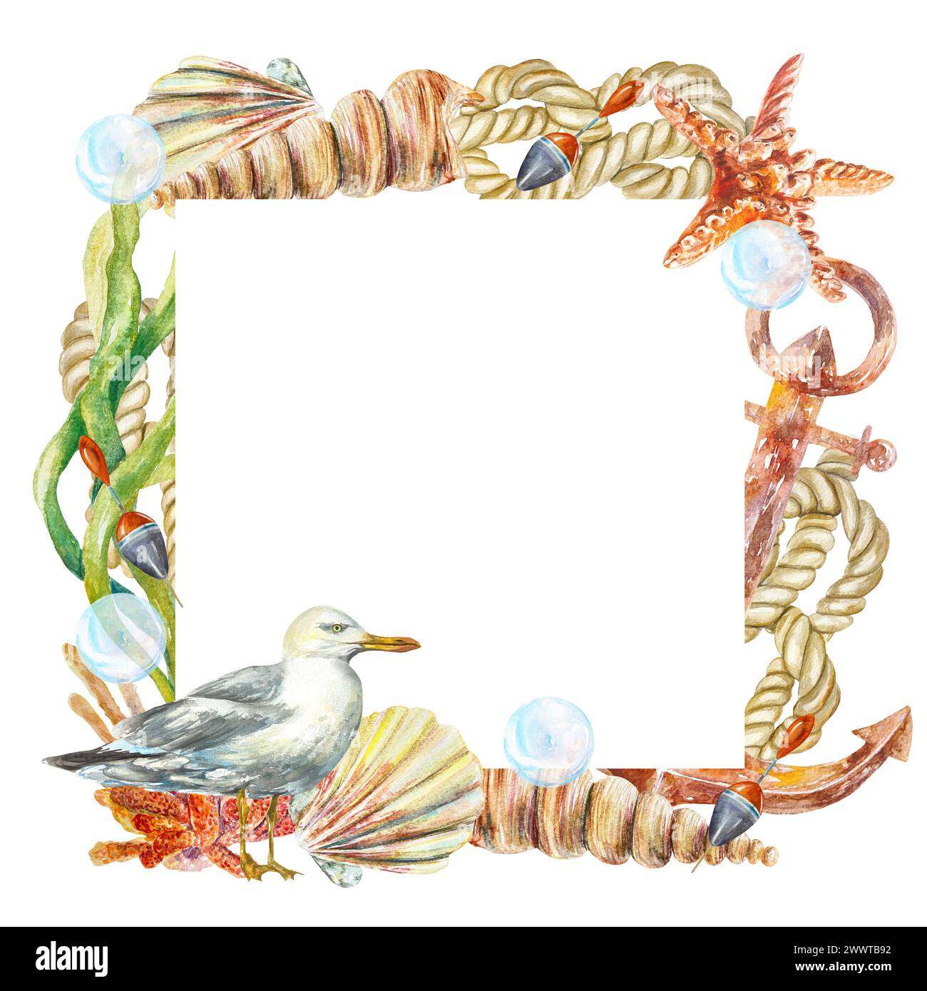 Marine frame, watercolor. Seashells, seagull, algae, starfish, anchor ...