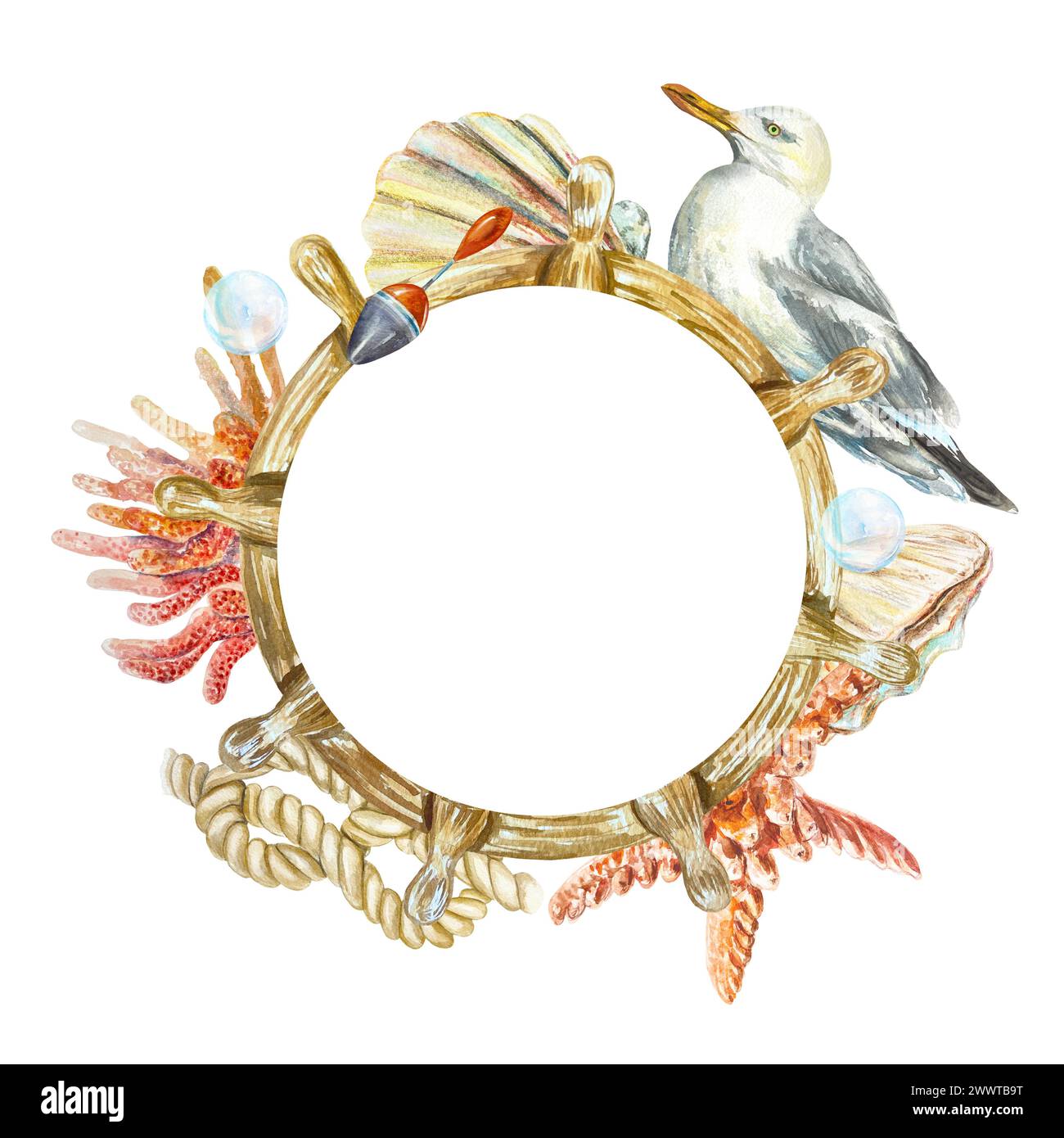 Marine frame, round. Seashells, seagull, starfish, helm isolated on ...