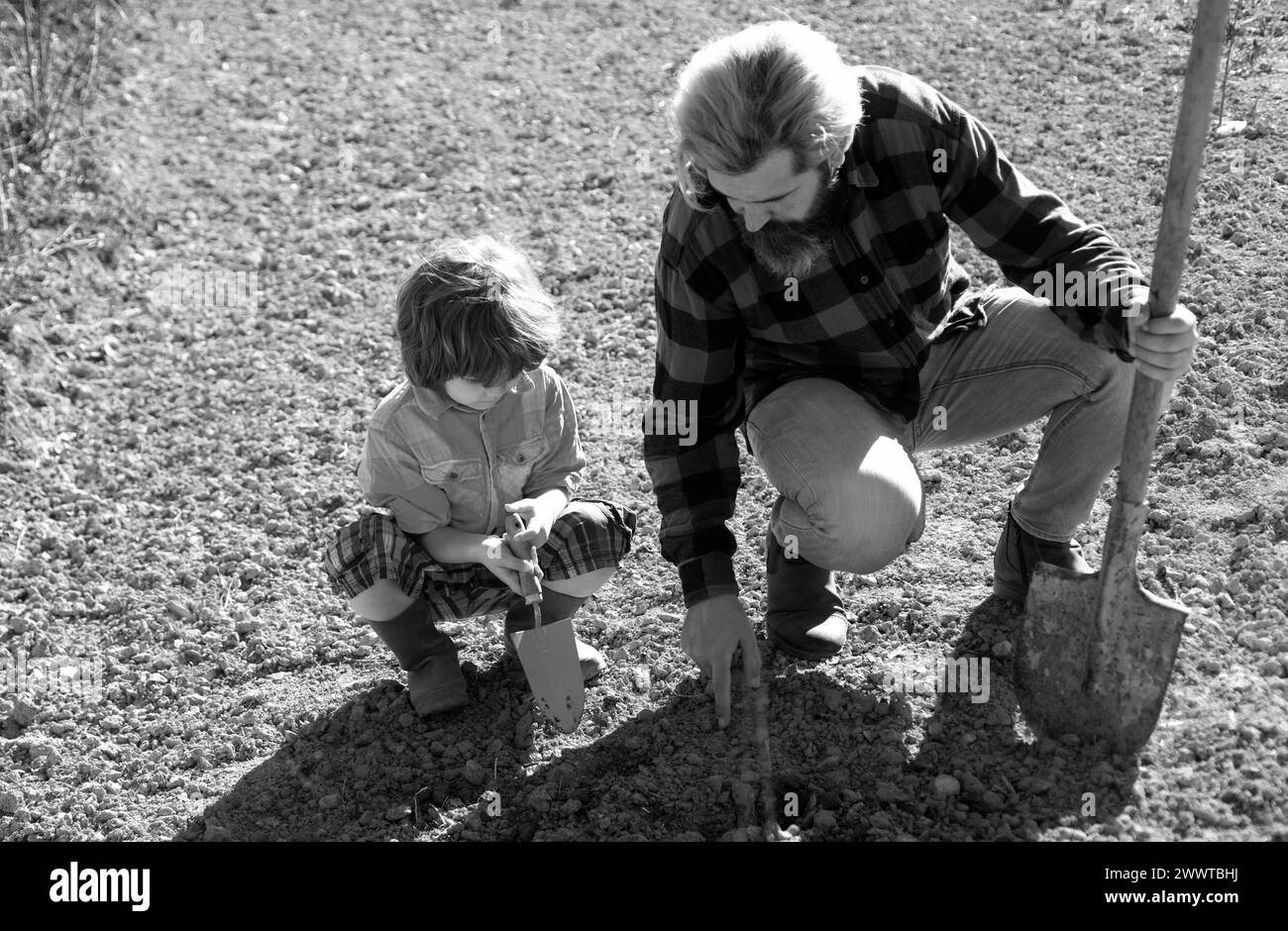 Father planting a tree with son helping him. Dad and kid gardening in ...