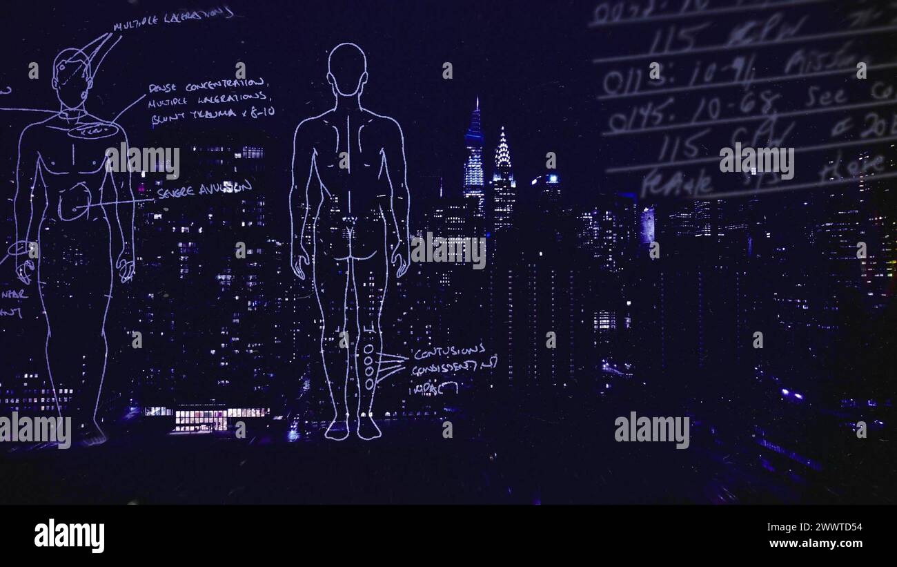 HOMICIDE: NEW YORK, Central Park Slaying', (Season 1, ep. 102, aired ...