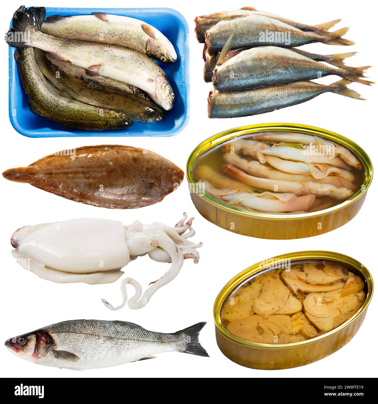 Collection of raw fish and semi-finished seafood Stock Photo - Alamy