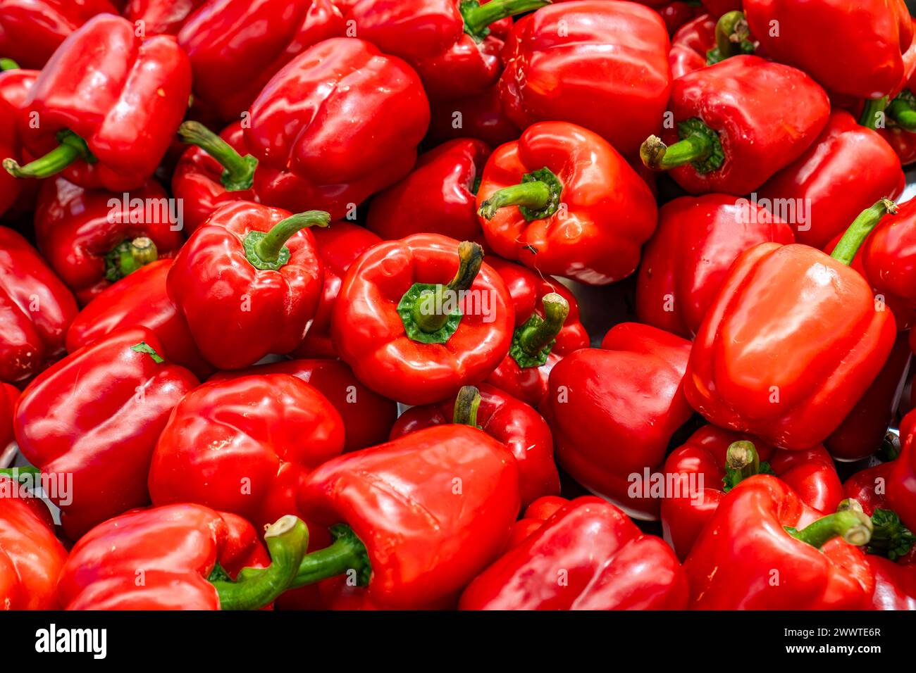 A group of fresh red capsicum annuum. Not spicy to eat Stock Photo - Alamy