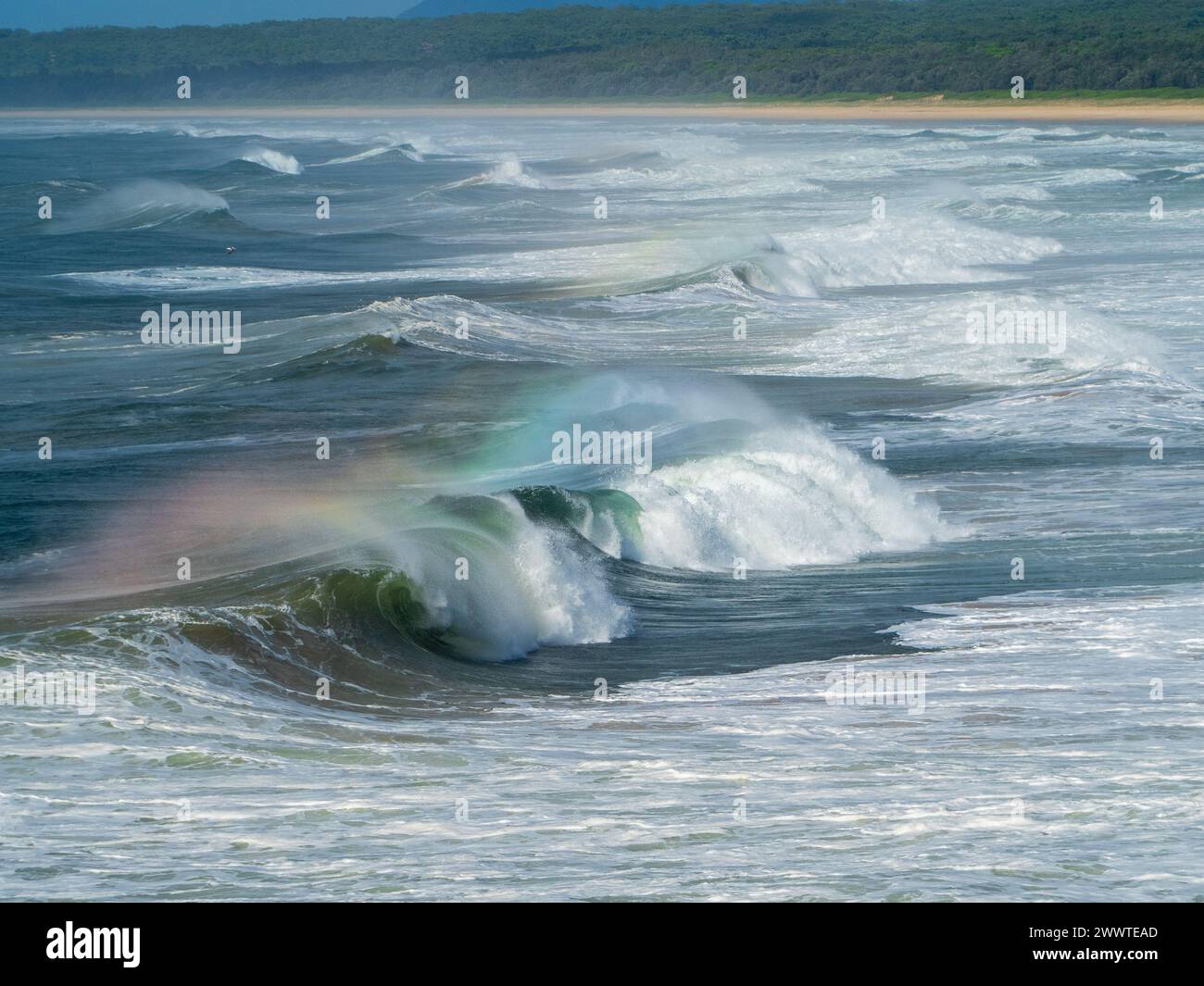 Rainbow sea waves, spectacular nature joining forces, beach and trees ...