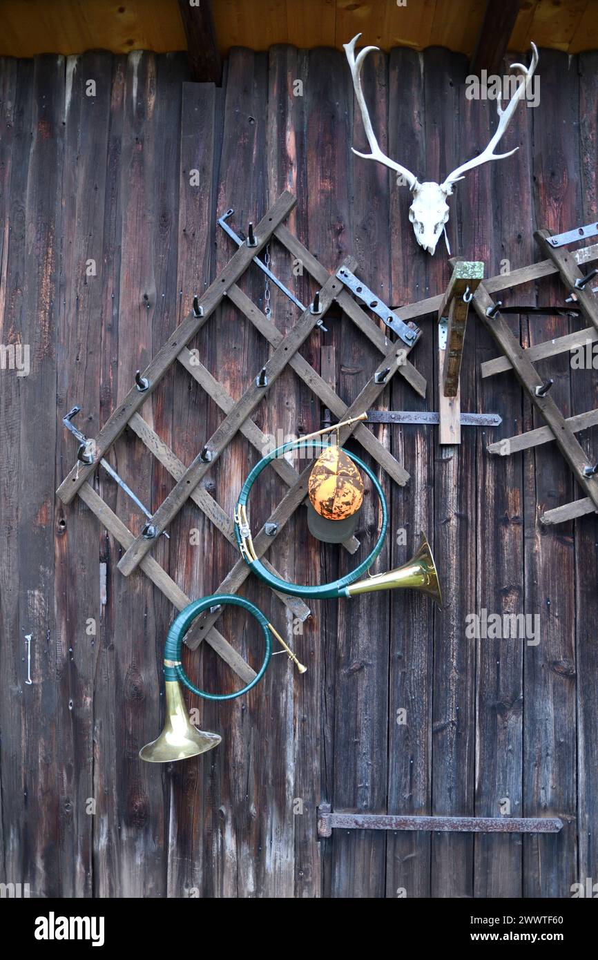 Two hunting trophies hi-res stock photography and images - Alamy