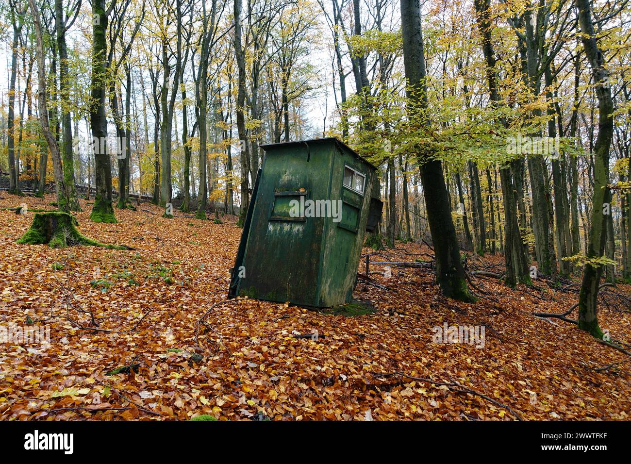 Old cabins in the woods hi-res stock photography and images - Alamy