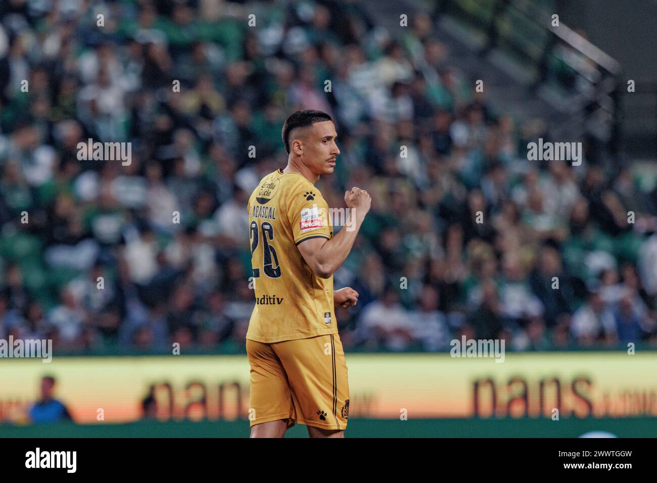 Rodrigo Abascal during Liga Portugal game between Sporting CP and ...