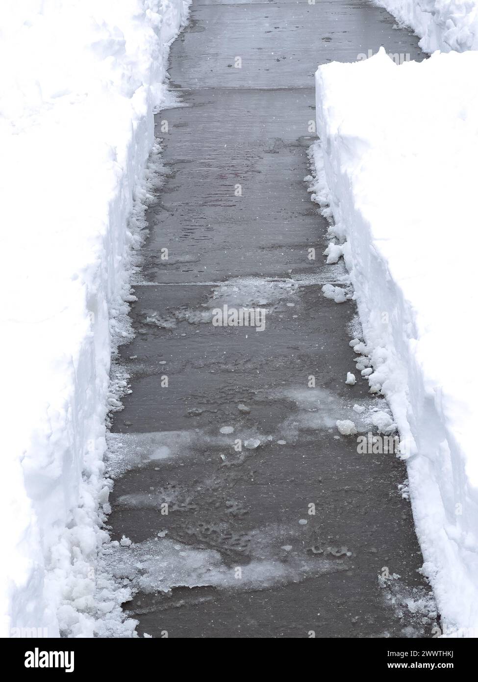 Freshly Shoveled Pathway Leading Home in a Snowy Neighborhood Stock ...