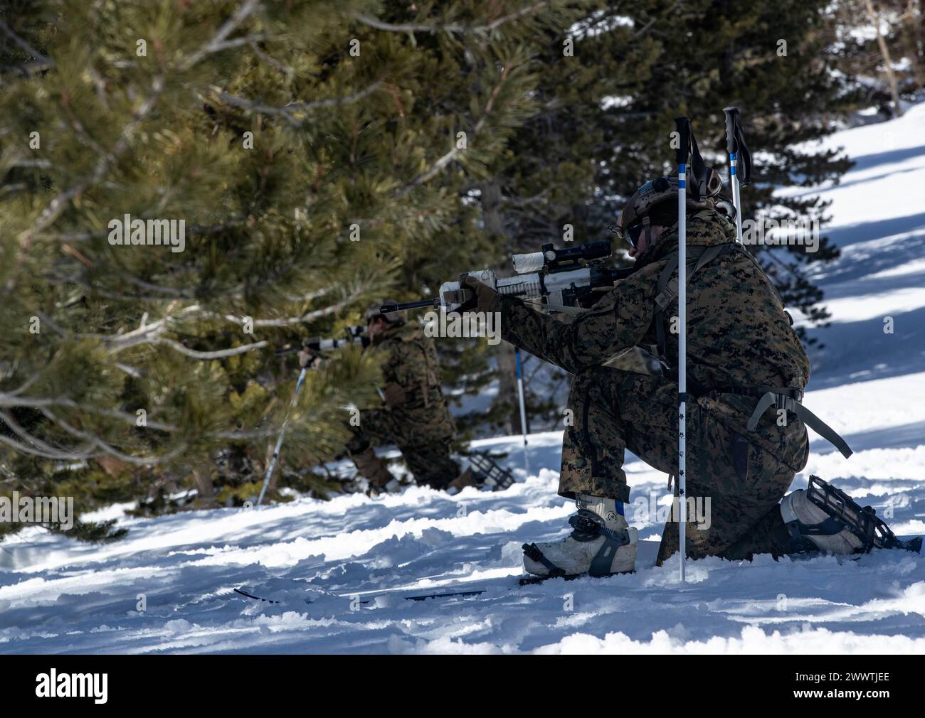 A U.S. Marine with 3rd Battalion, 6th Marine Regiment, 2d Marine ...