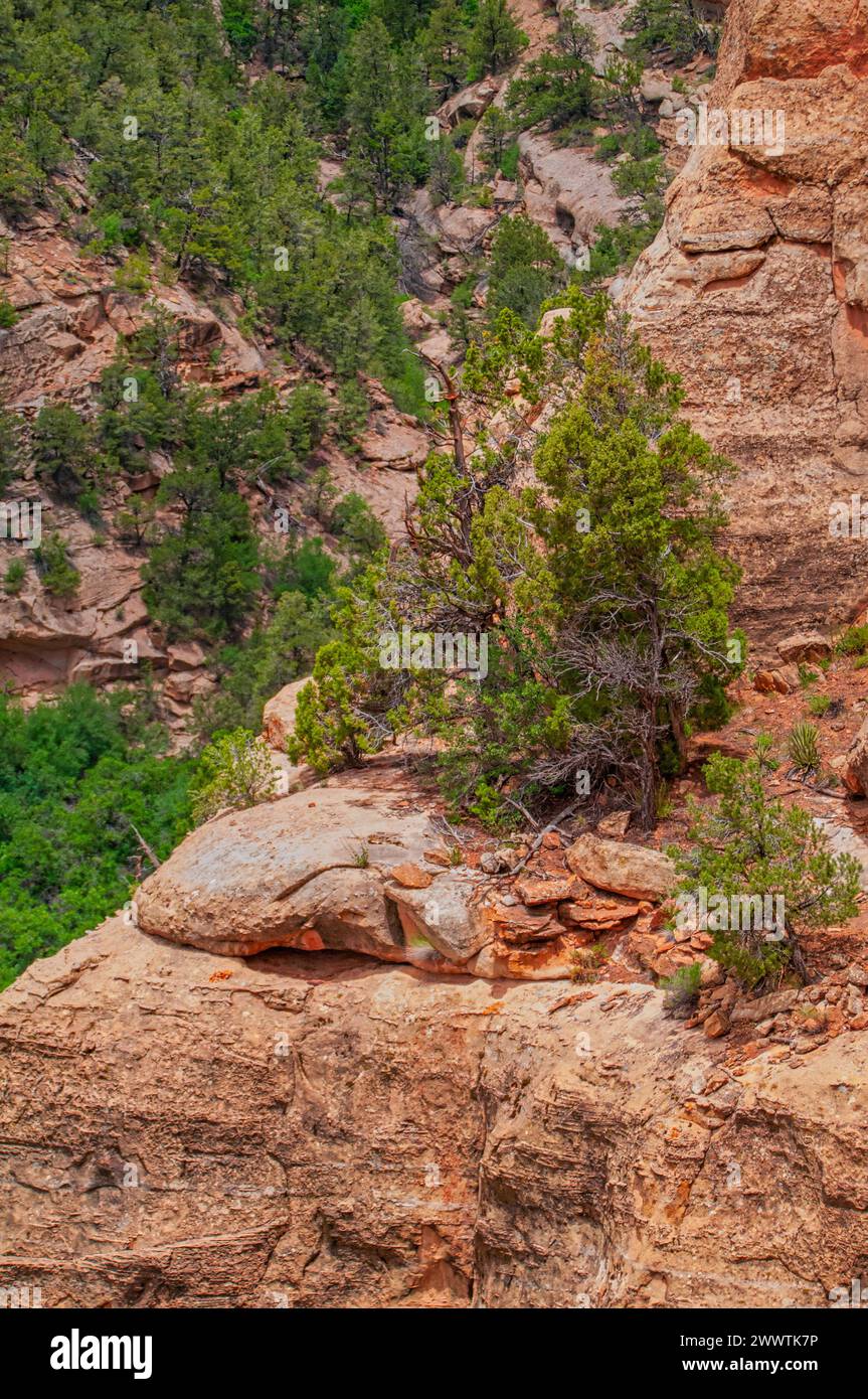 The rocky cliffside adorned with greenery peeks interest with subtle ...