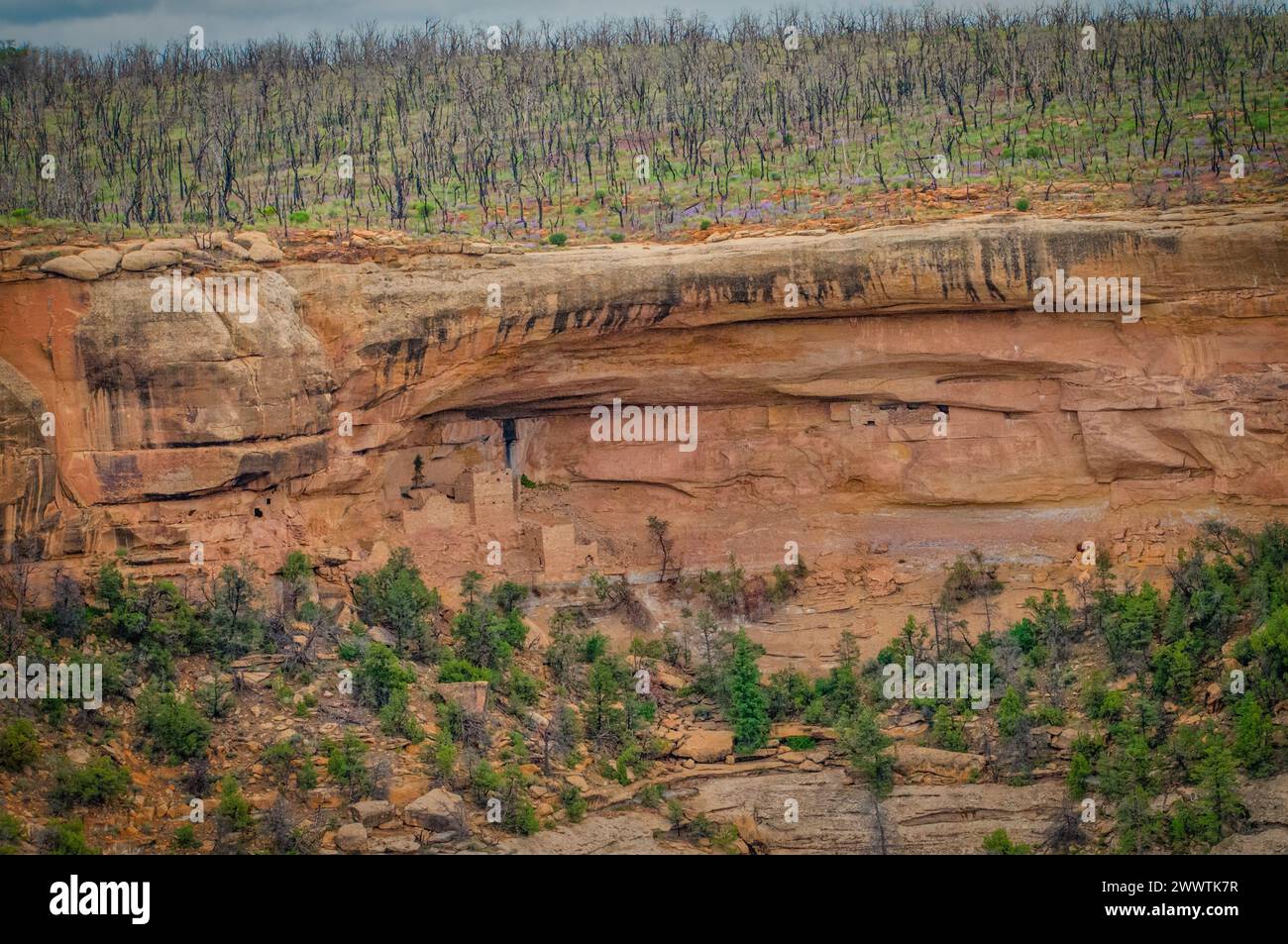 A breathtaking panoramic shot capturing the faded beauty of ancient ...