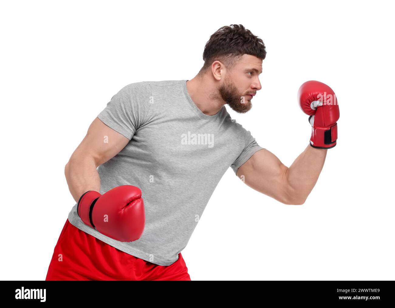 Man in boxing gloves fighting on white background Stock Photo - Alamy