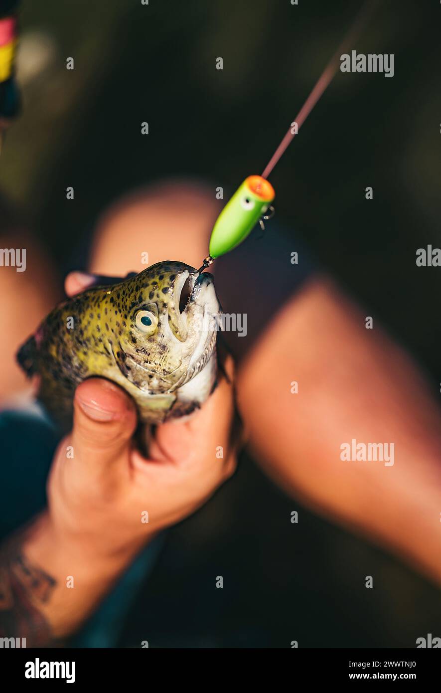 Fishing - relaxing and enjoying hobby. Fishing became a popular ...