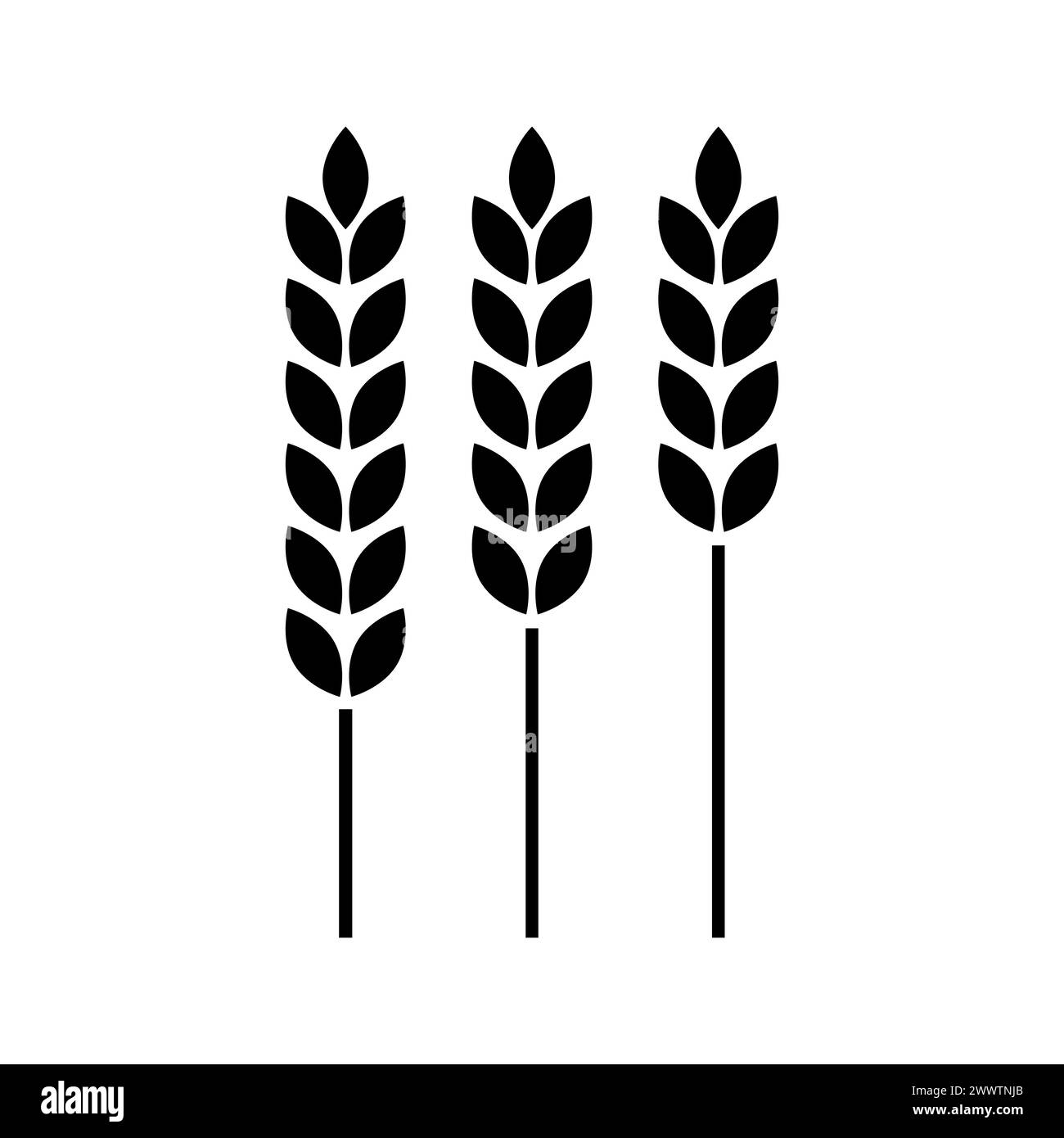 Three wheat ears icon. Agriculture symbol. Organic produce. Vector ...