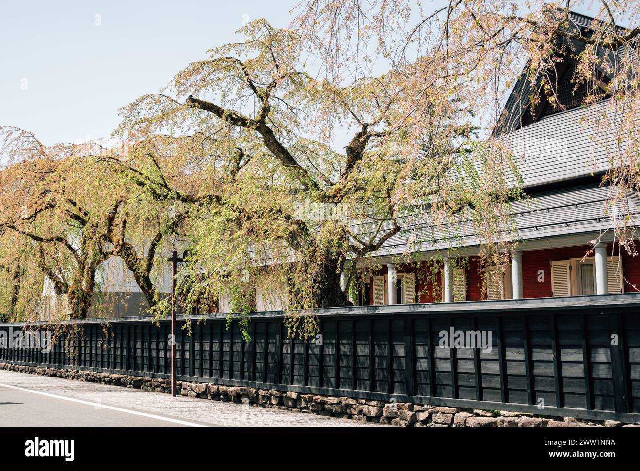 Spring of Kakunodate samurai residence street in Akita, Japan Stock ...