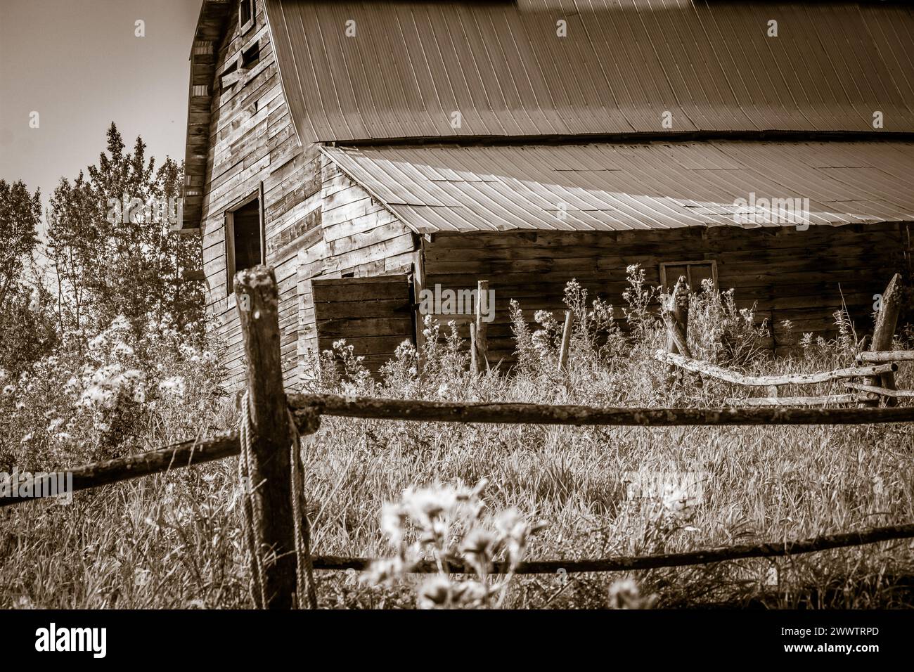 Stunning rustic old barn Stock Photo - Alamy
