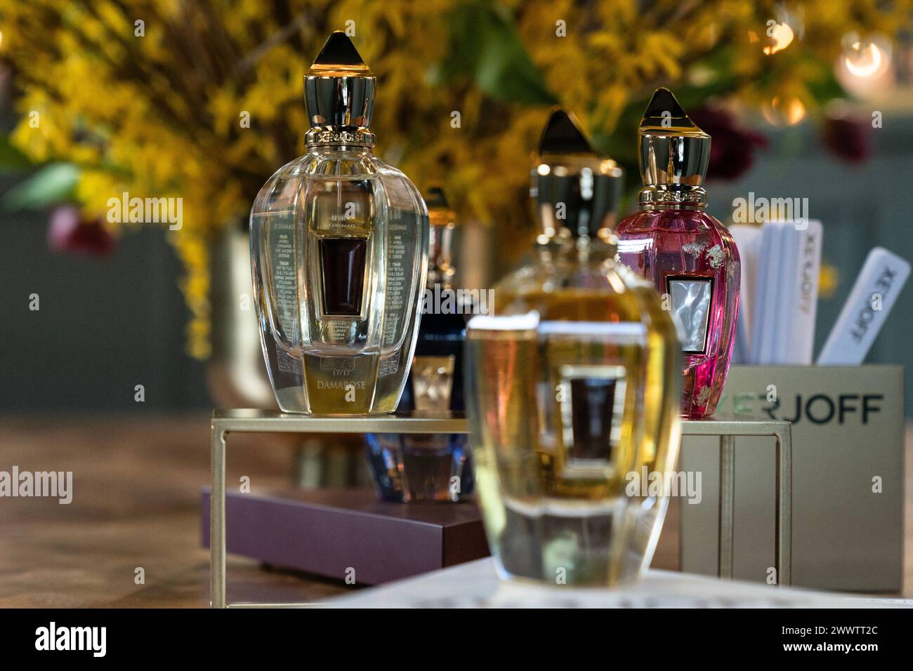 Bottles of perfume on display during Xerjoff Perfume Collection Launch ...