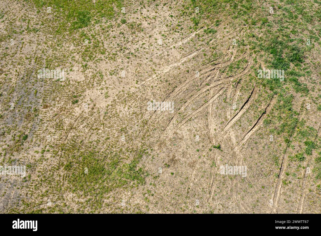 aerial top view of green grass background with tractor wheel tracks ...