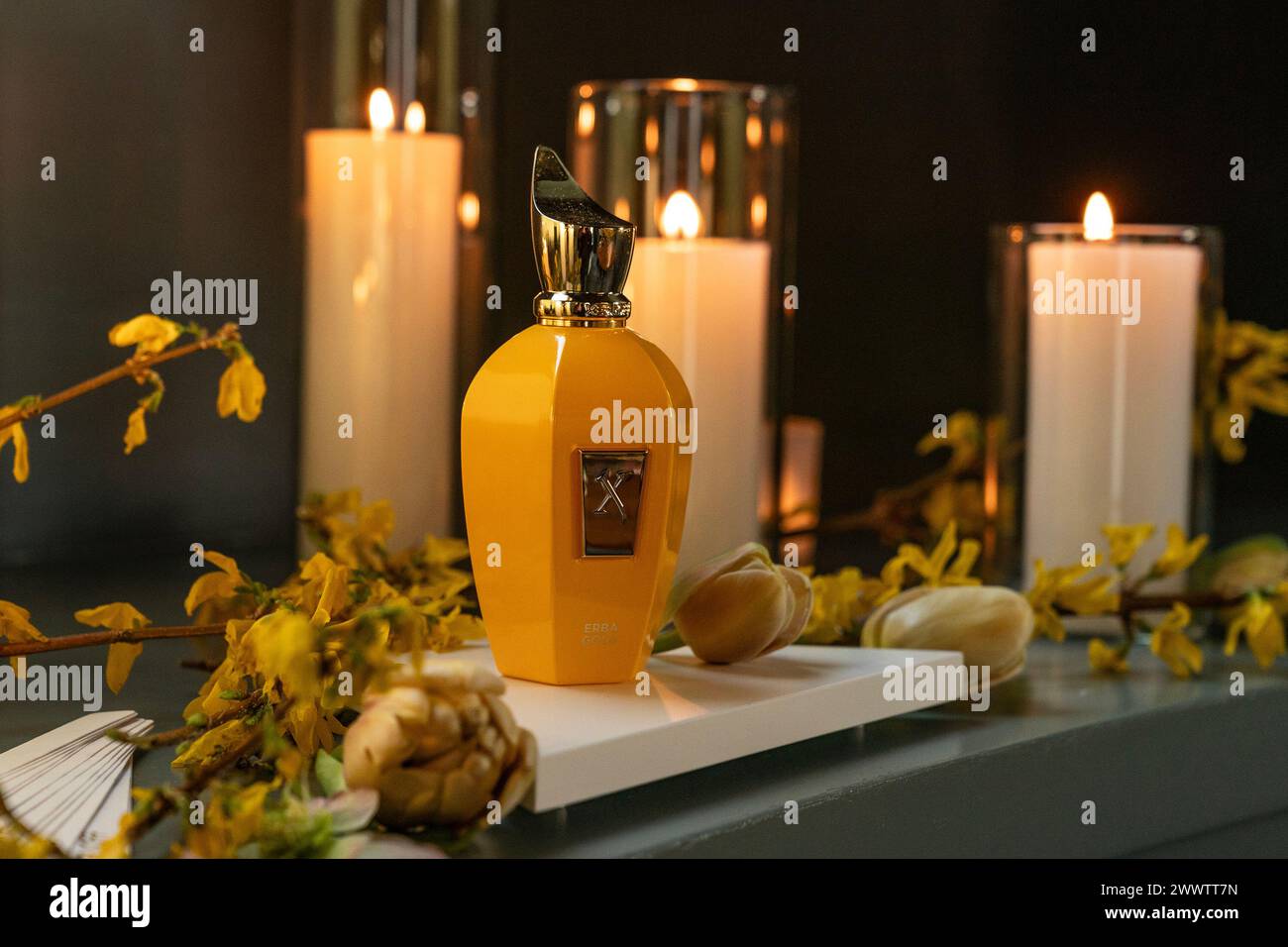New York, USA. 25th Mar, 2024. Bottles of perfume on display during ...