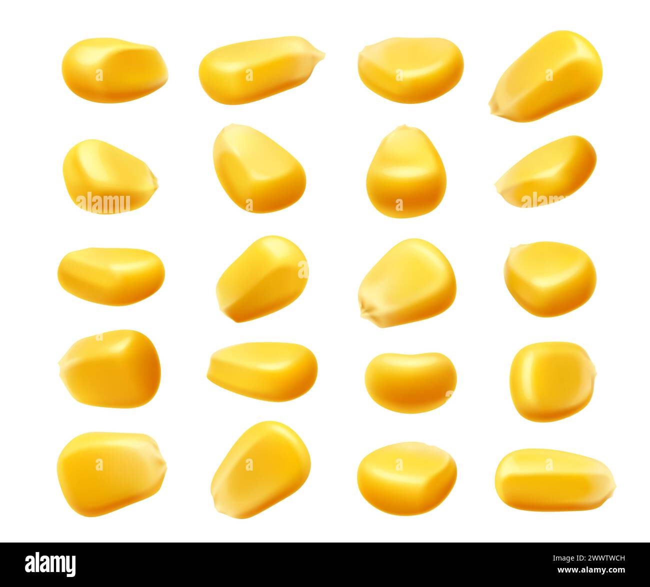 Realistic sweet corn kernels isolated 3d vector set. Ripe yellow corn ...