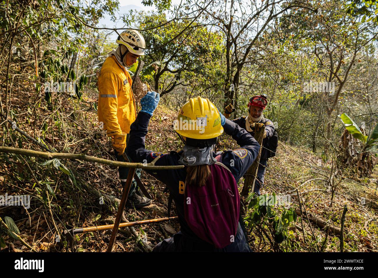 Medellin, Colombia. 25th Mar, 2024. Firefighters and members of the ...