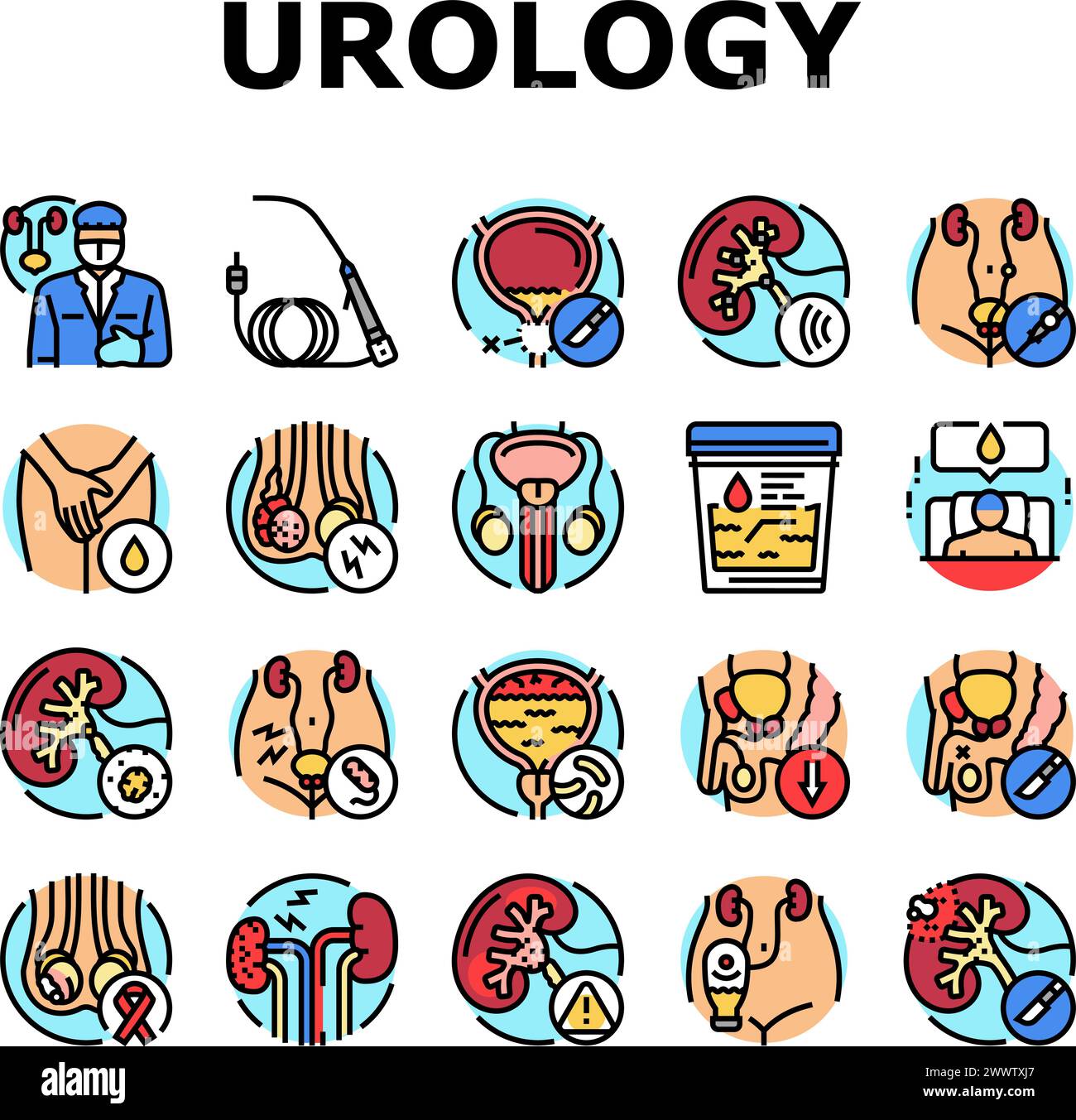 urology prostate urinary kidney icons set vector Stock Vector Image ...
