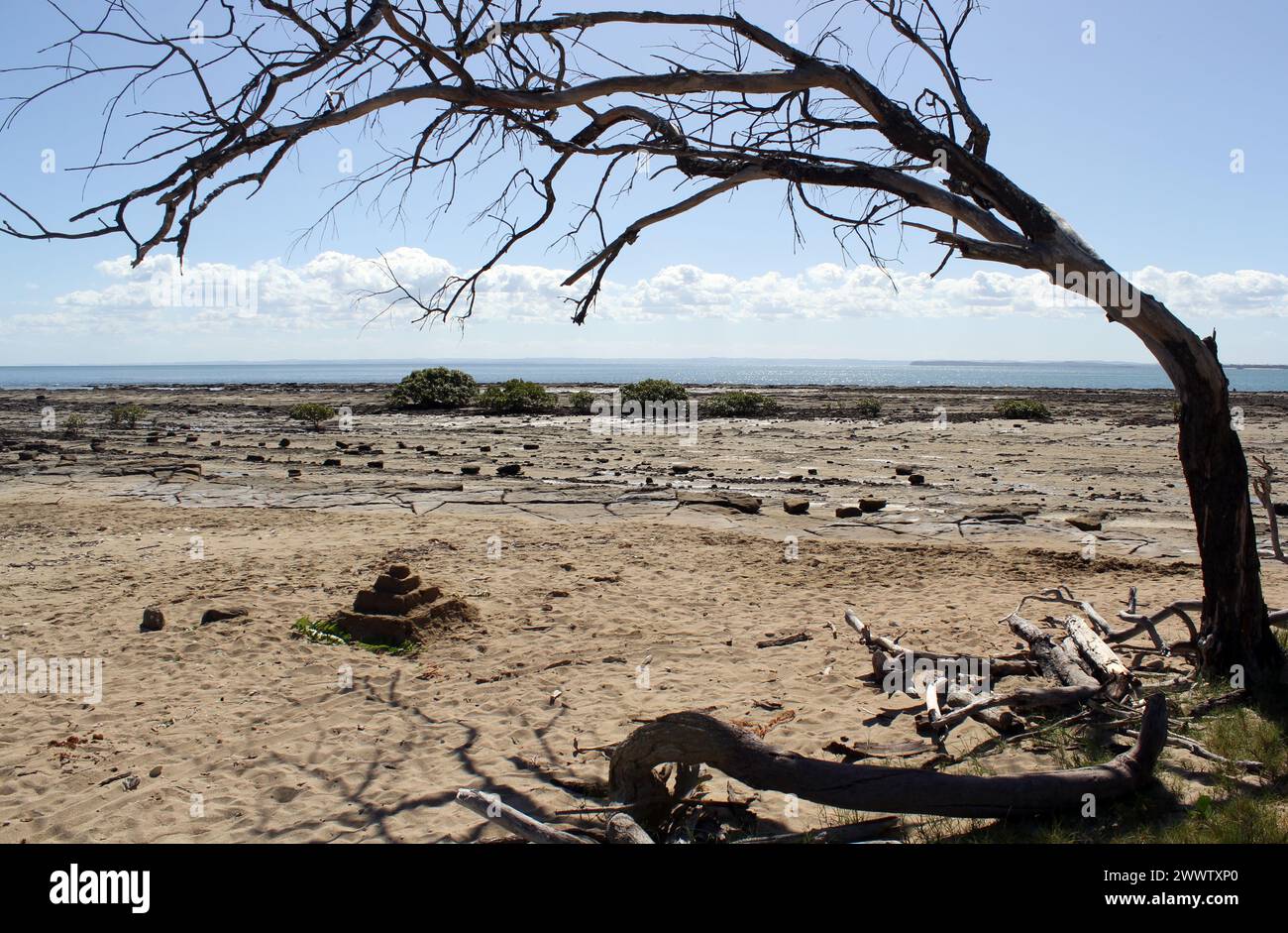 Beach with a tree, sand castle and the ocean at Point Vernon at Hervey ...