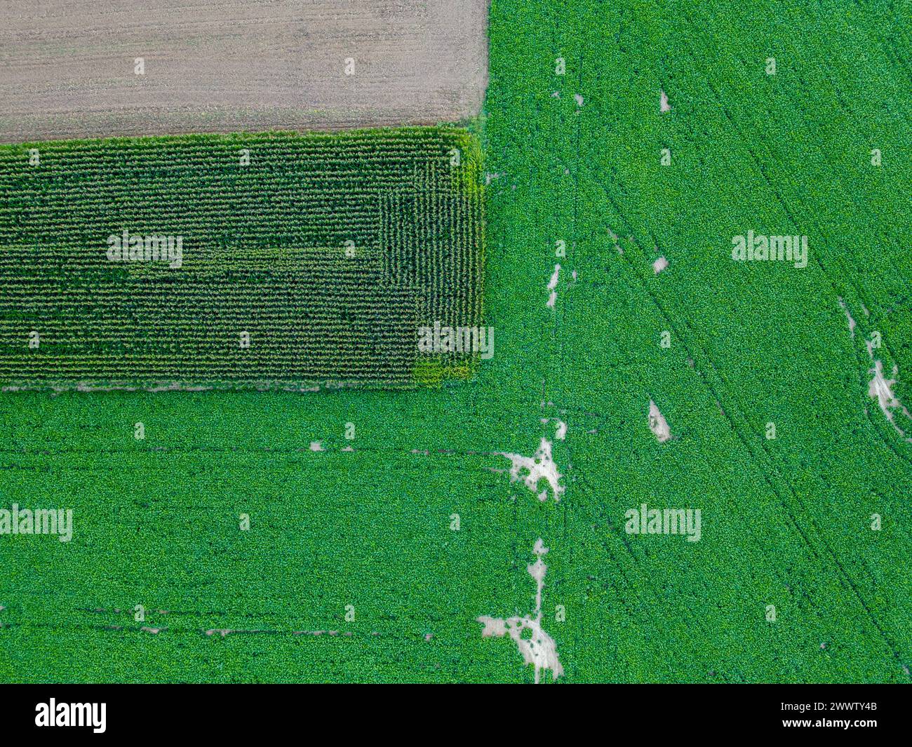 This close-up aerial photograph reveals the intricate patterns of ...