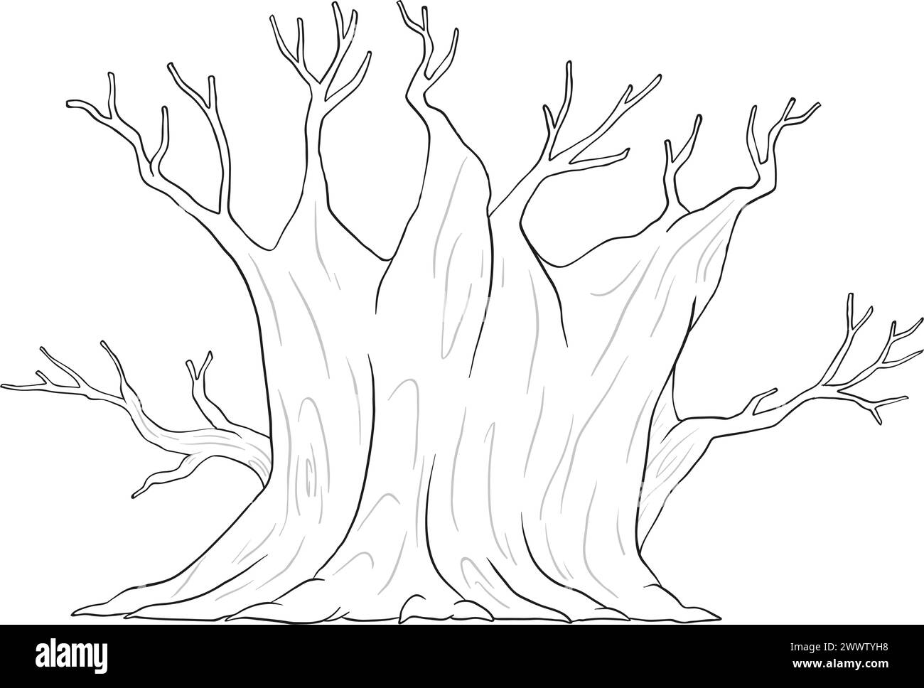 Two intertwined trees with whimsical branches Stock Vector Image & Art ...