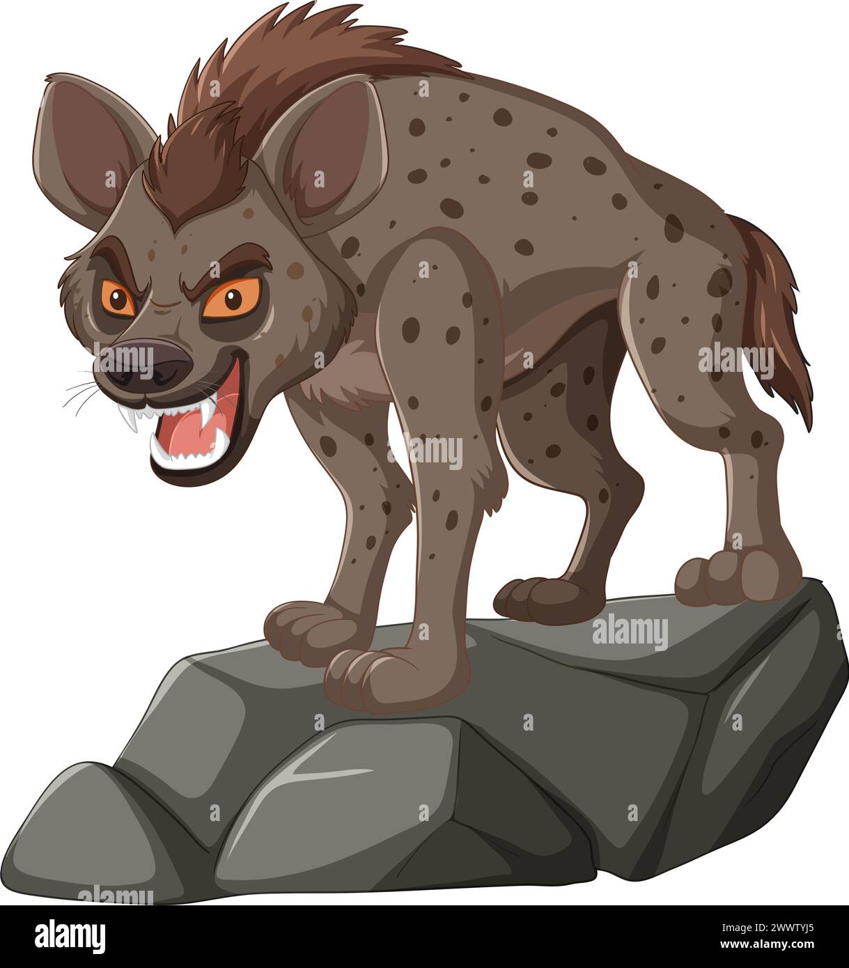 Angry spotted hyena standing aggressively on stone Stock Vector Image ...