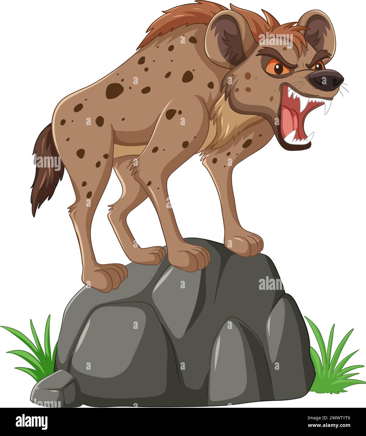 Angry hyena standing on a rock, growling fiercely Stock Vector Image ...