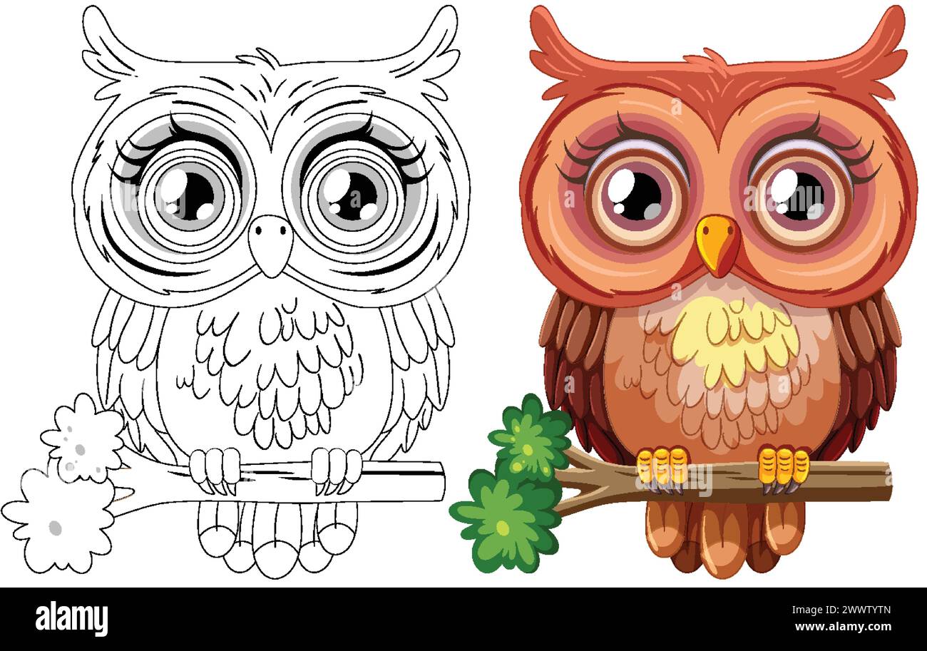 Vector illustration of an owl, colored and line art Stock Vector Image ...