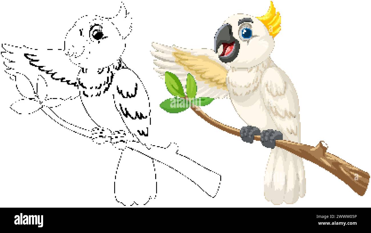 Vector graphic of two parrots, one colored, one outlined Stock Vector ...