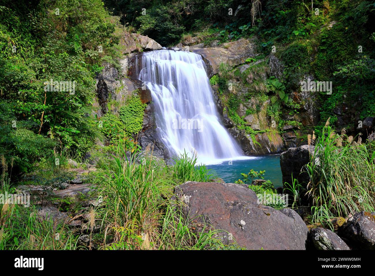 Water falls in the Neidong Forest Recreation Area situated at the ...