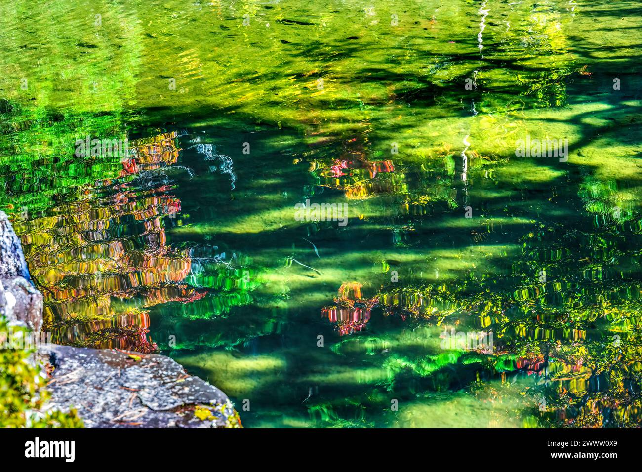 Colorful Fall Leaves Garden Reflection Ginkakuji Silver Pavilion Zen ...