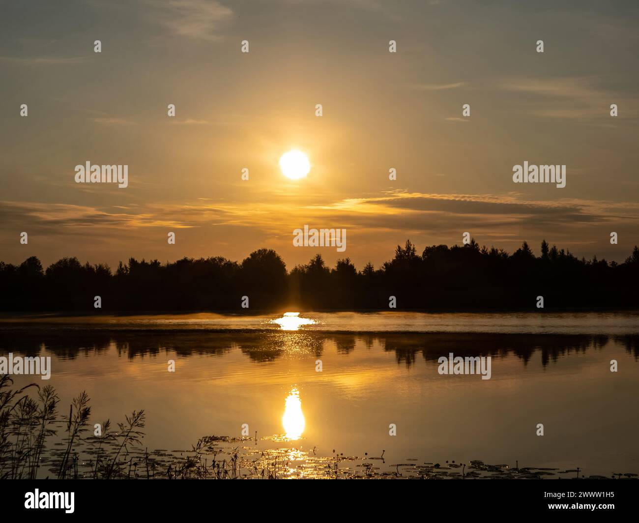 Fierce river steam hi-res stock photography and images - Alamy